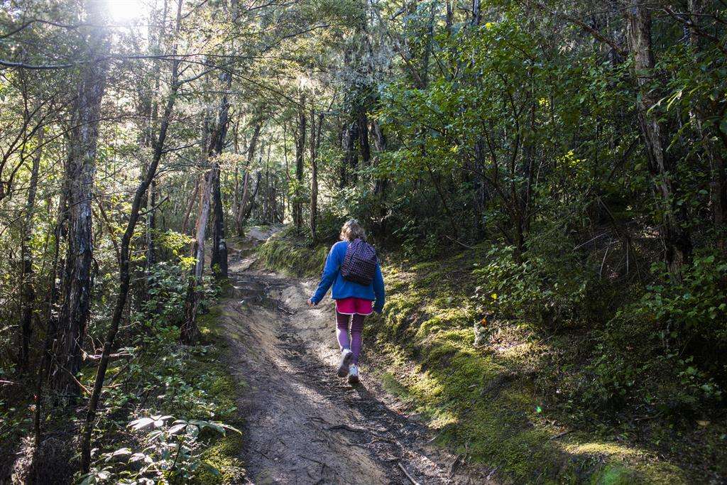 Hanmer Springs - Half Day Tramps | Hanmer Springs Tourism Operators API