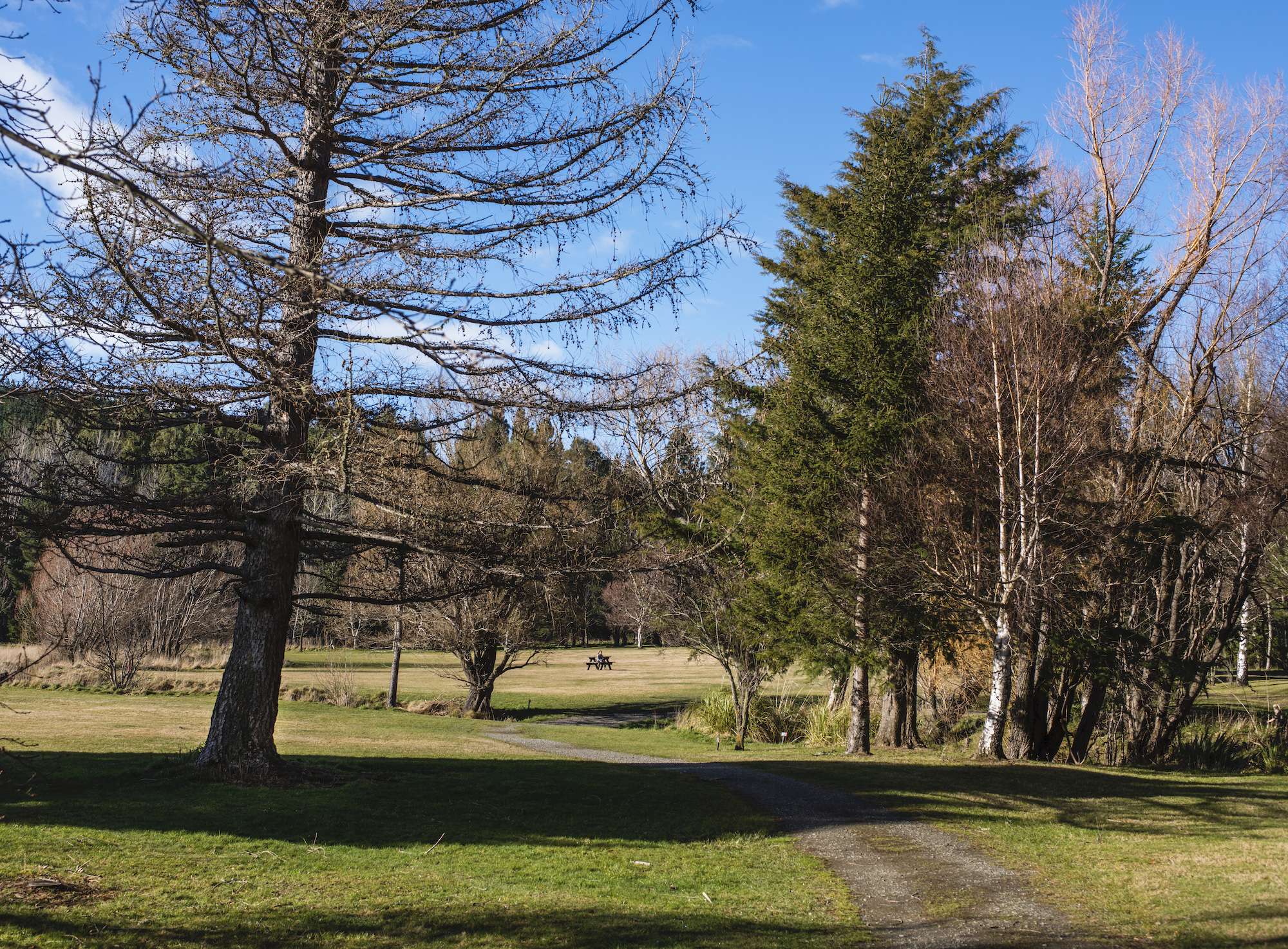 Heritage Forest Walks: Forest Amble Forest Walk Forest Journey | Hanmer ...