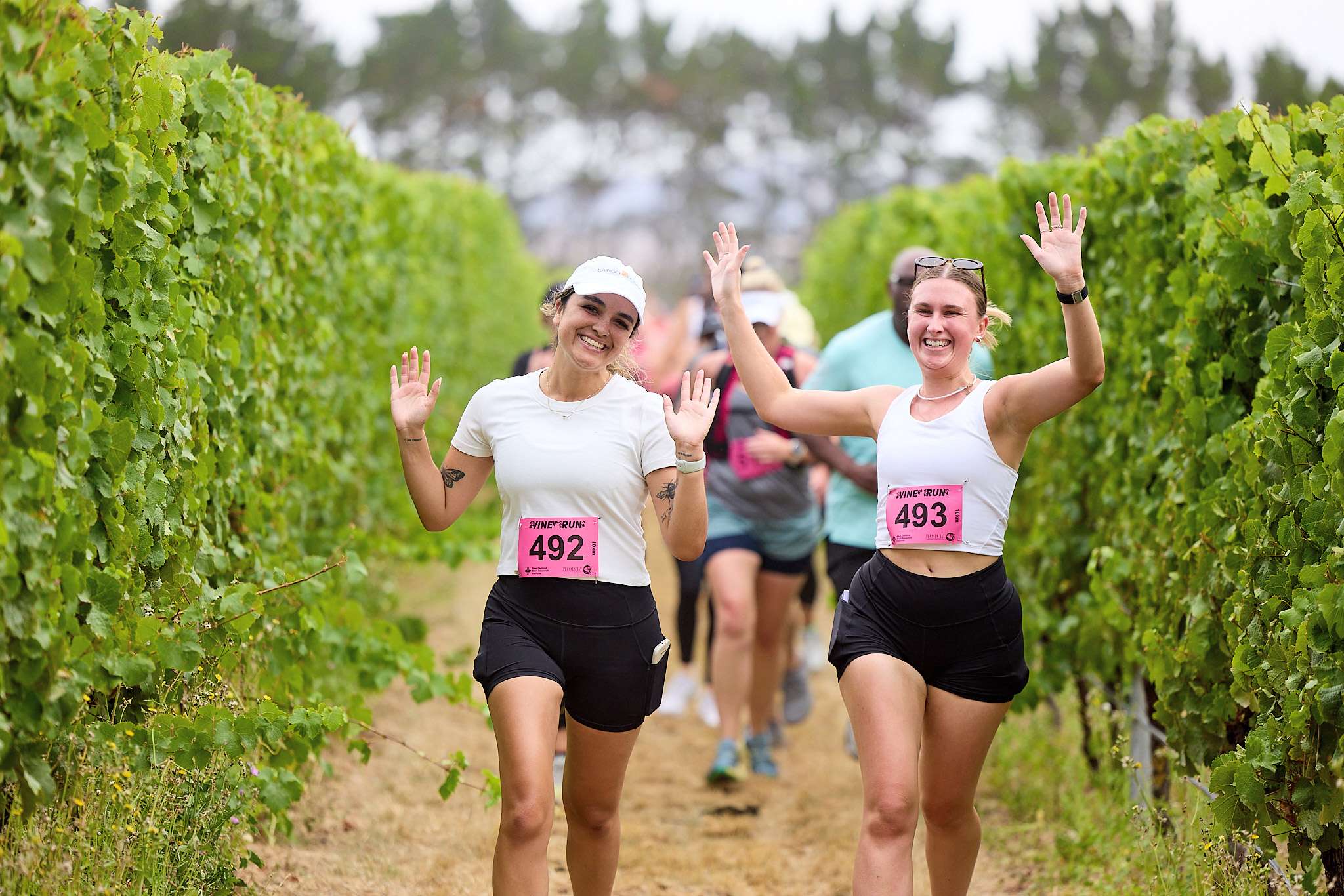 Pegasus Bay Vine Run | Hanmer Springs Tourism Operators API