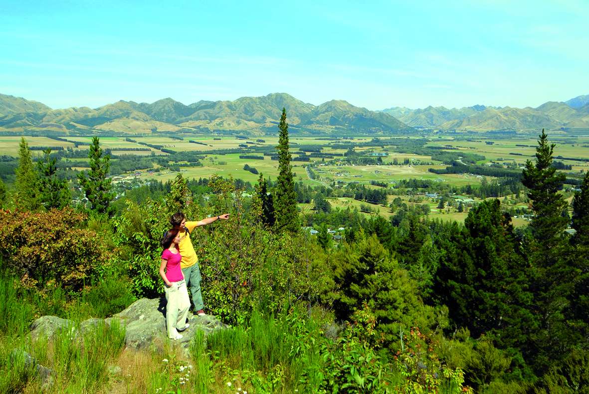 Hanmer Forest Walks | Hanmer Springs Tourism Operators API