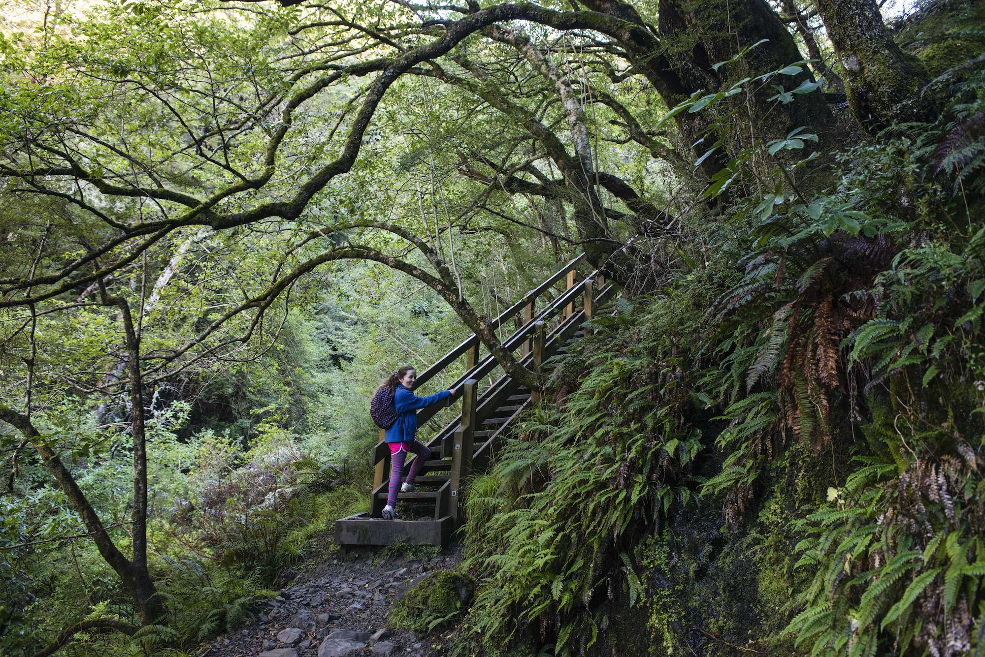 Waterfall Track | Hanmer Springs Tourism Operators API